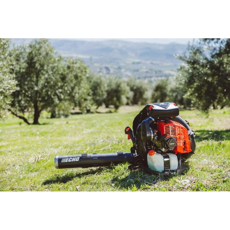 PB8010 Souffleur dorsal ECHO